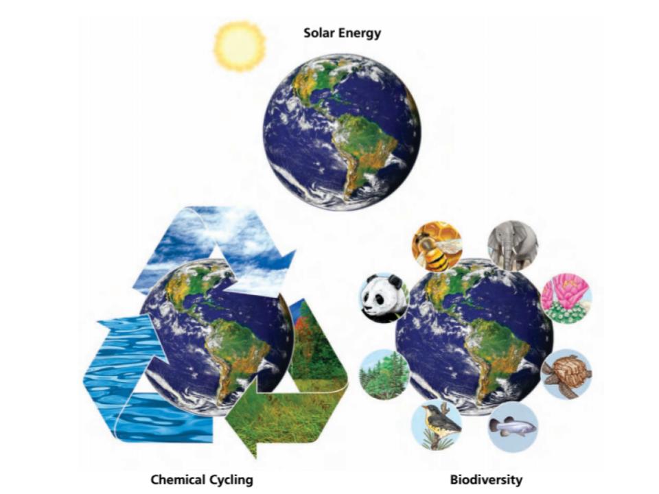 Emily Zimmerman - APES Passion Project